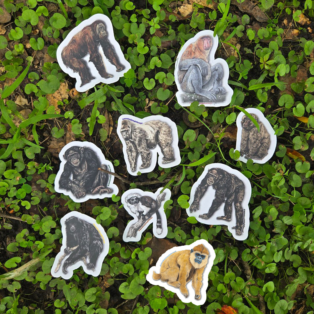 Naturalist Sticker Pack – Monkey Jungle Brand